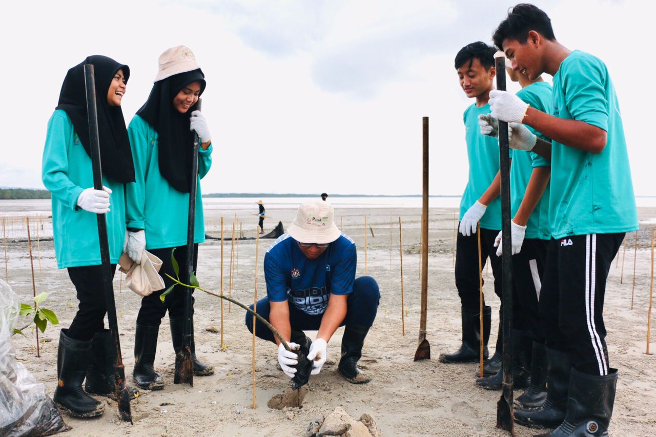 Program Penanaman Pokok Bakau Bersama Yayasan Didik Negara (YDN) Dan ...